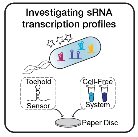 Research – TAKAHASHI LAB @ CSUN